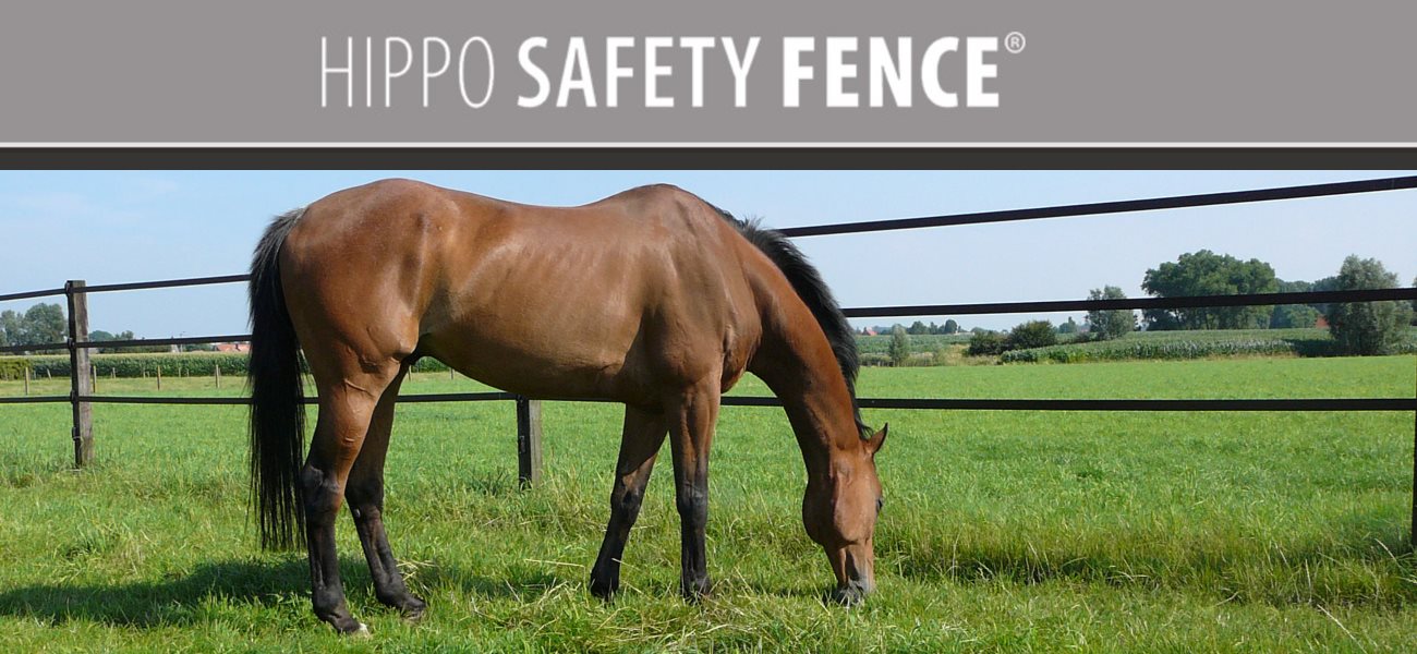 Homepage [www.matelevage.com]